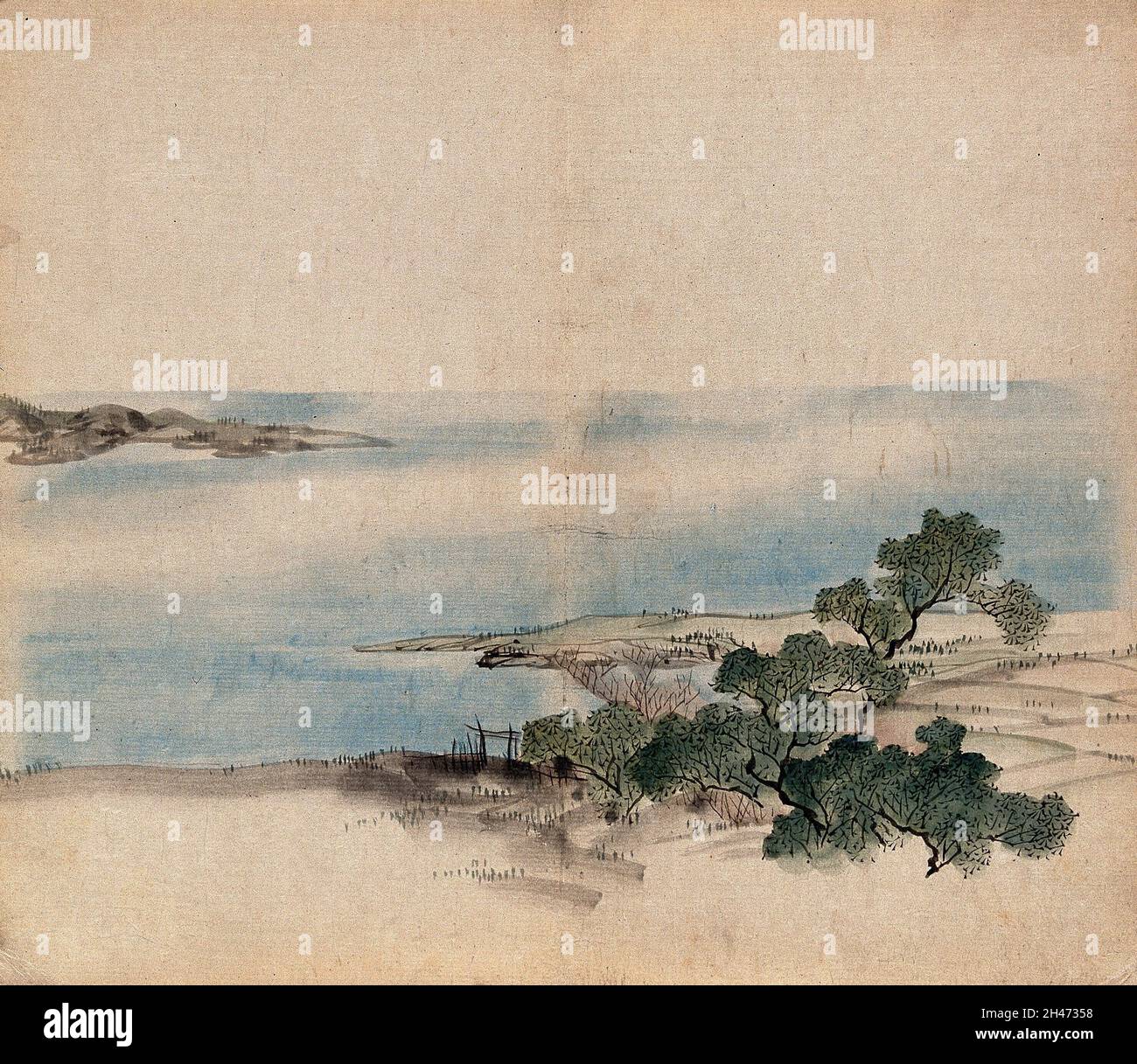 The bank of a lake in Japan with trees, possibly keyaki trees (Zelkova ...