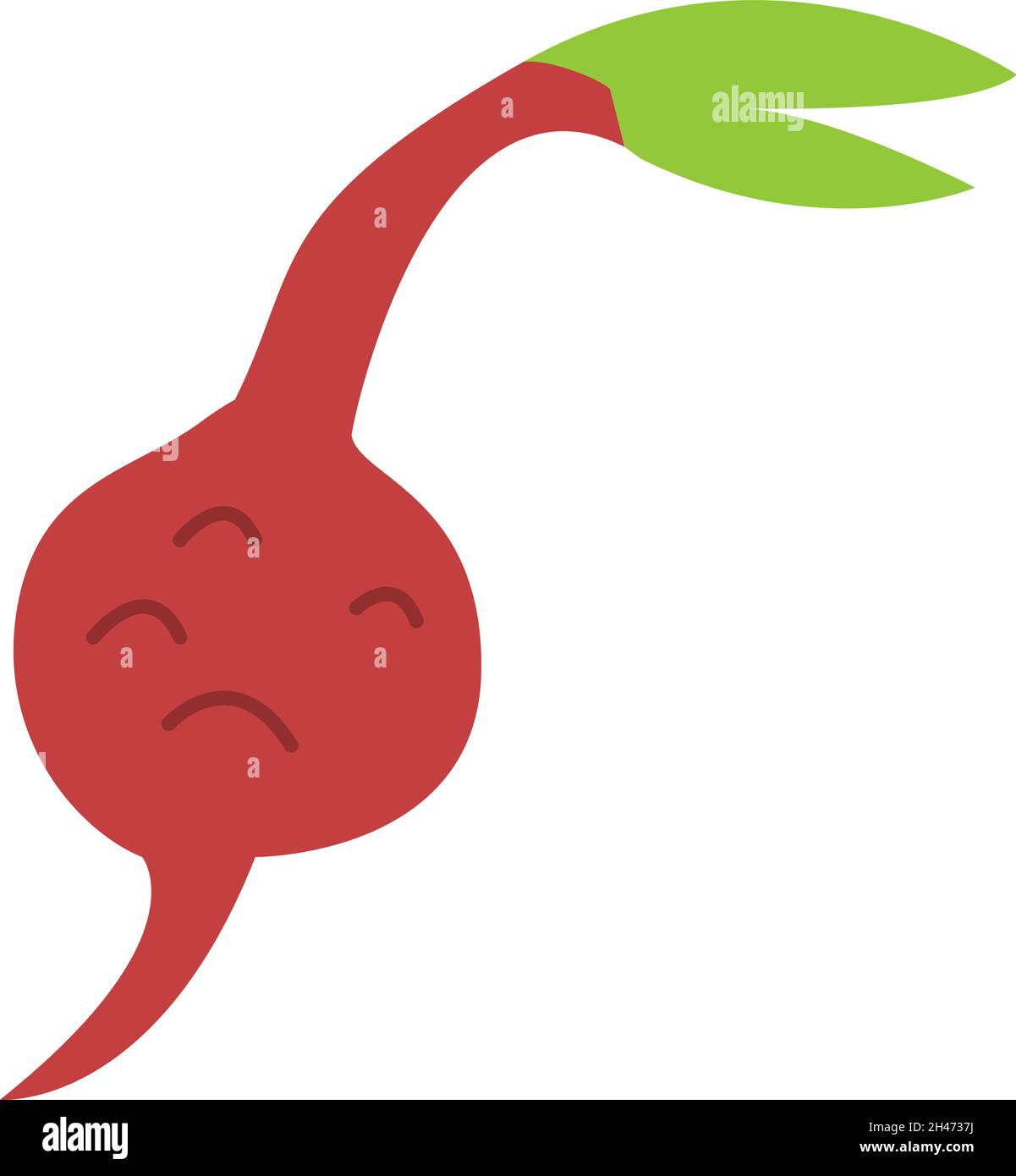 Red beet, illustration, vector, on a white background Stock Vector ...