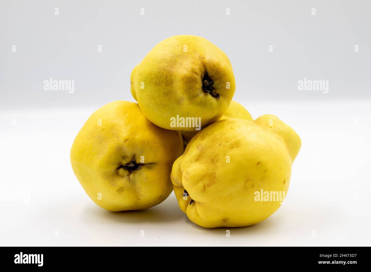 Quince on a white background. In combination with the shade of ripe ...