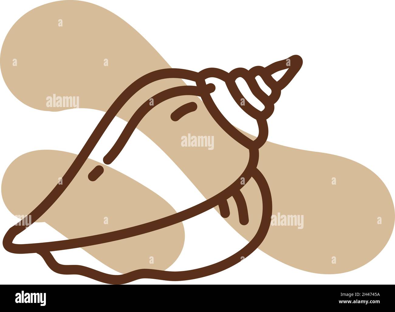 Underwater shell, illustration, vector, on a white background Stock ...