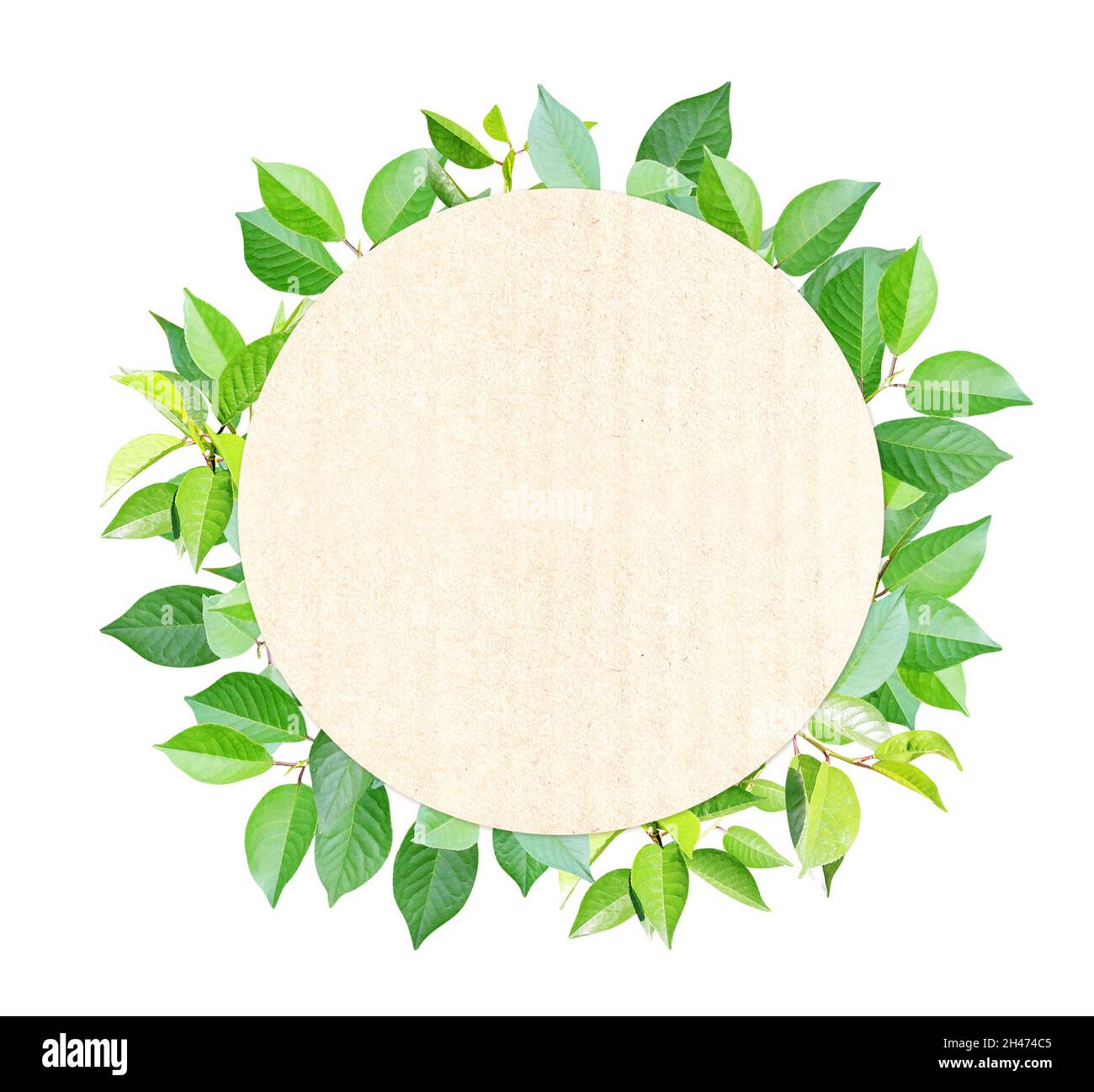 Green leaves and round recycled paper label. Recycled eco carton ...