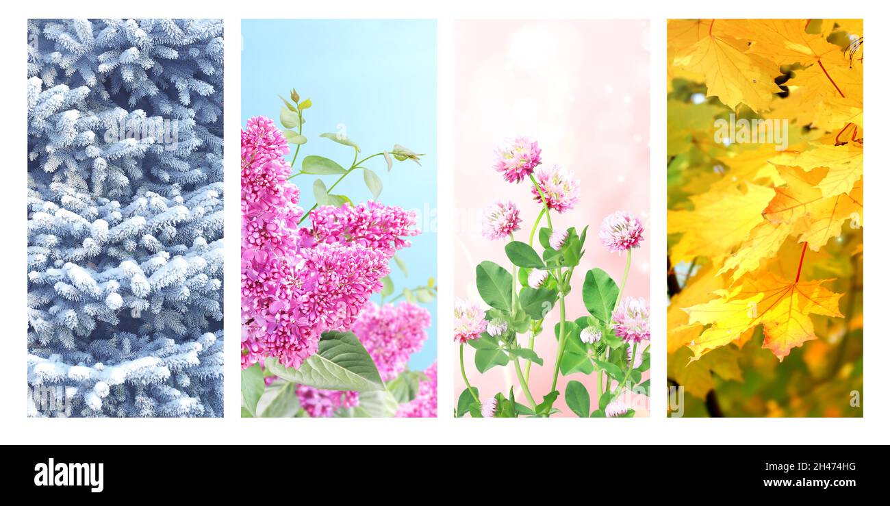 Four seasons of year. Set of vertical nature banners with winter ...