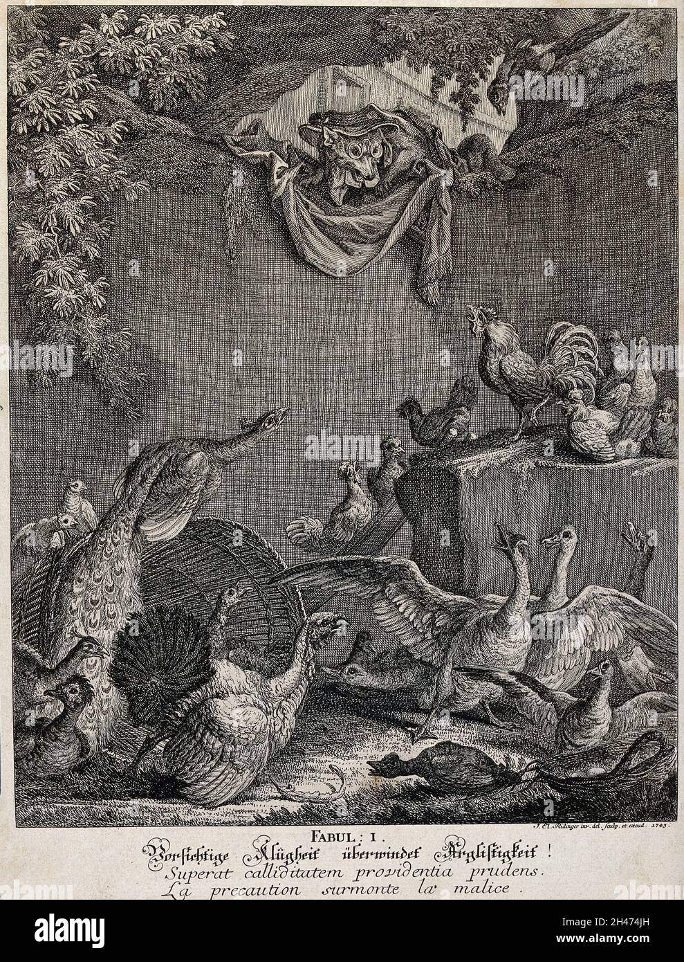 A disguised fox is peering through a vault into a yard, trying to ...