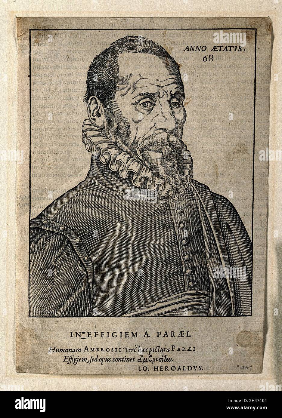 Ambroise Paré. Woodcut, 1582 Stock Photo - Alamy