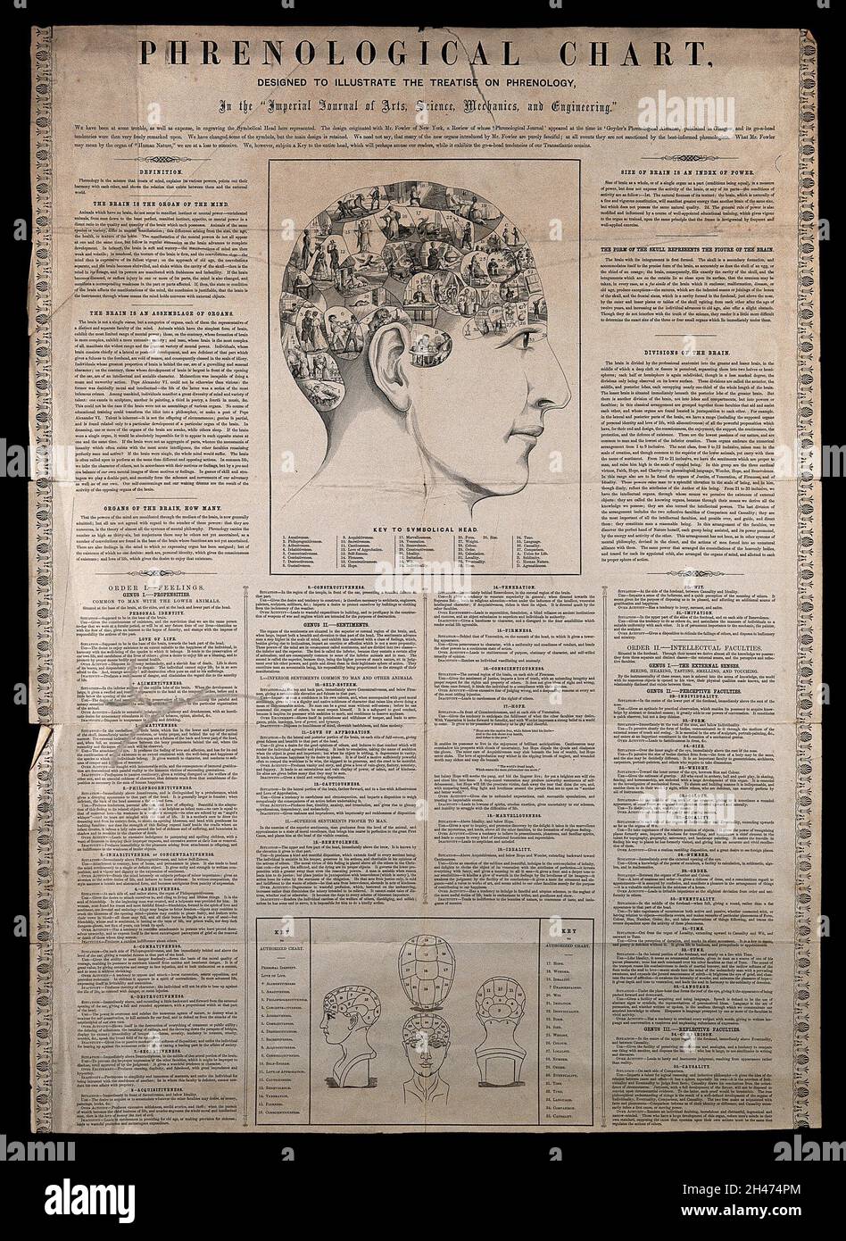 Phrenological chart; with design of head containing symbols of the ...
