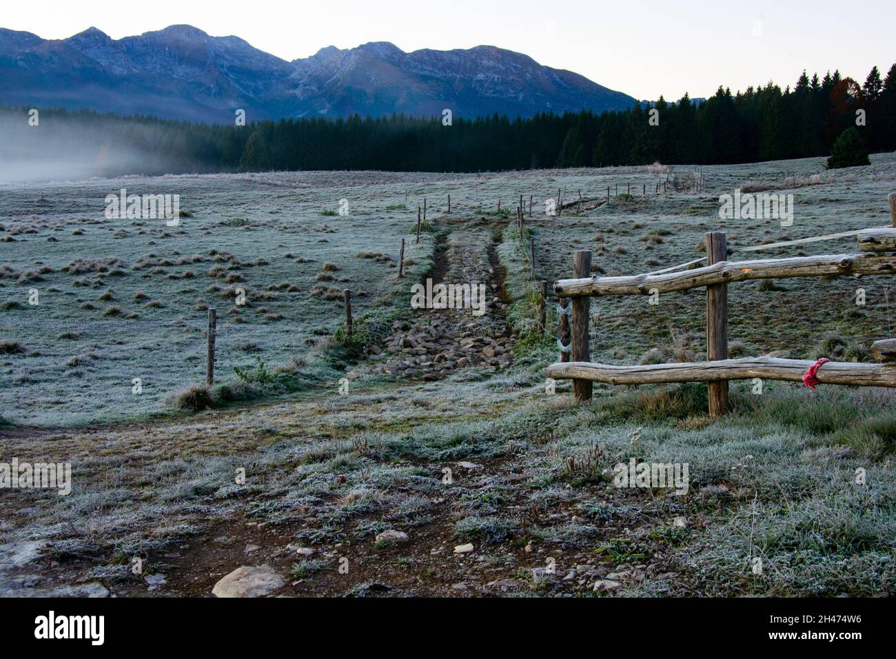 very cold and foggy on the high mountain plateau Stock Photo - Alamy