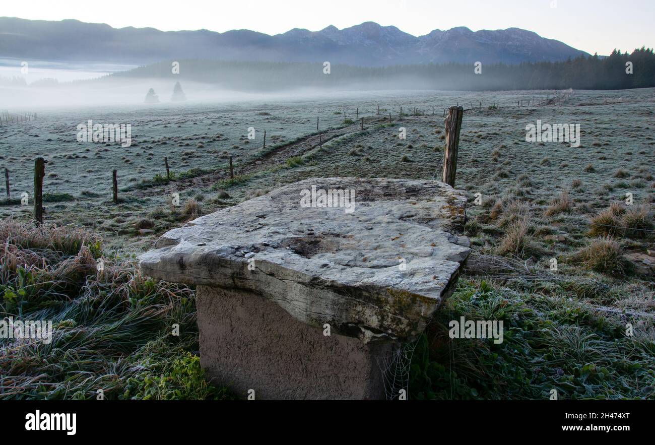 very cold and foggy on the high mountain plateau Stock Photo - Alamy