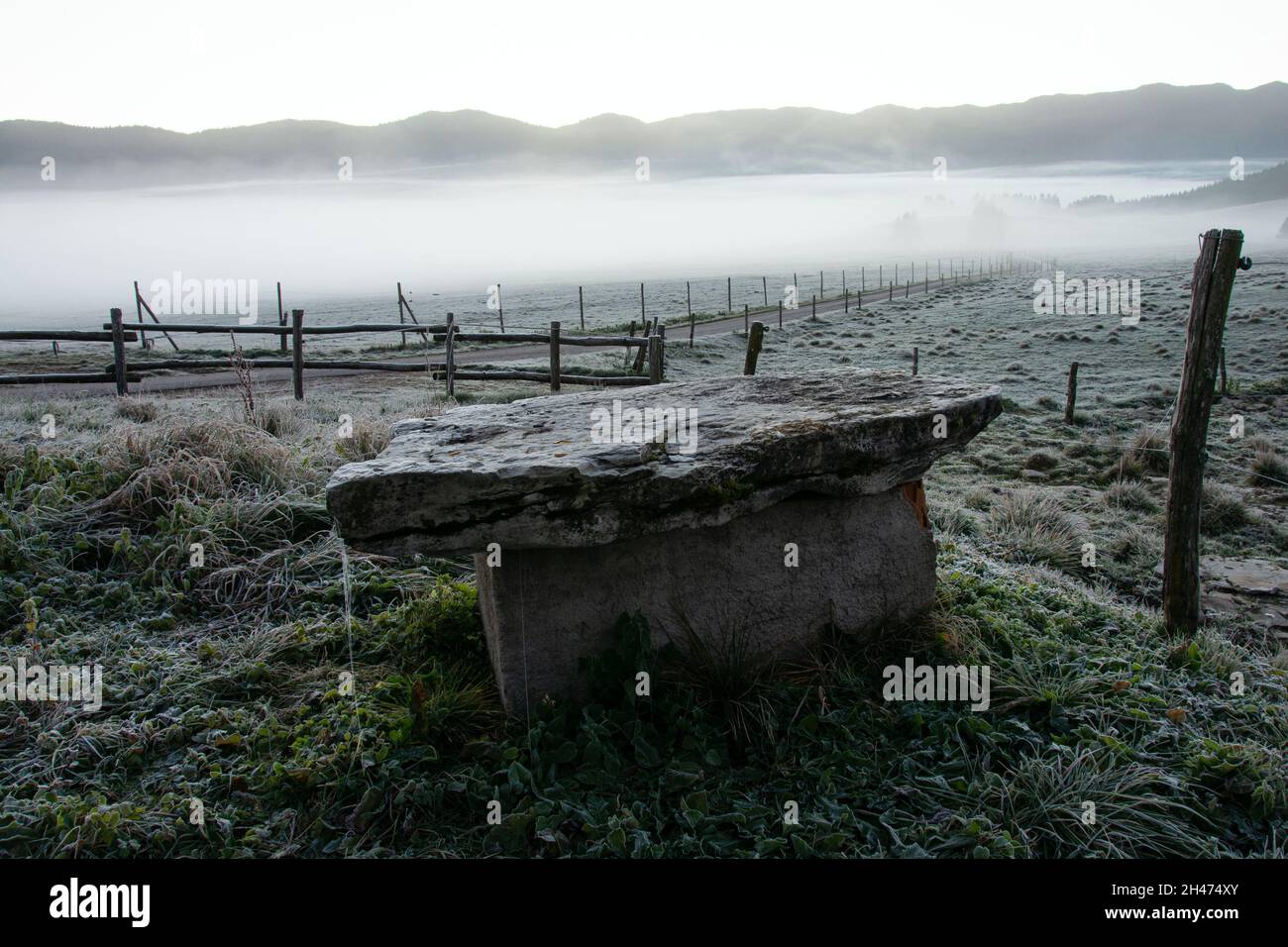 very cold and foggy on the high mountain plateau Stock Photo - Alamy
