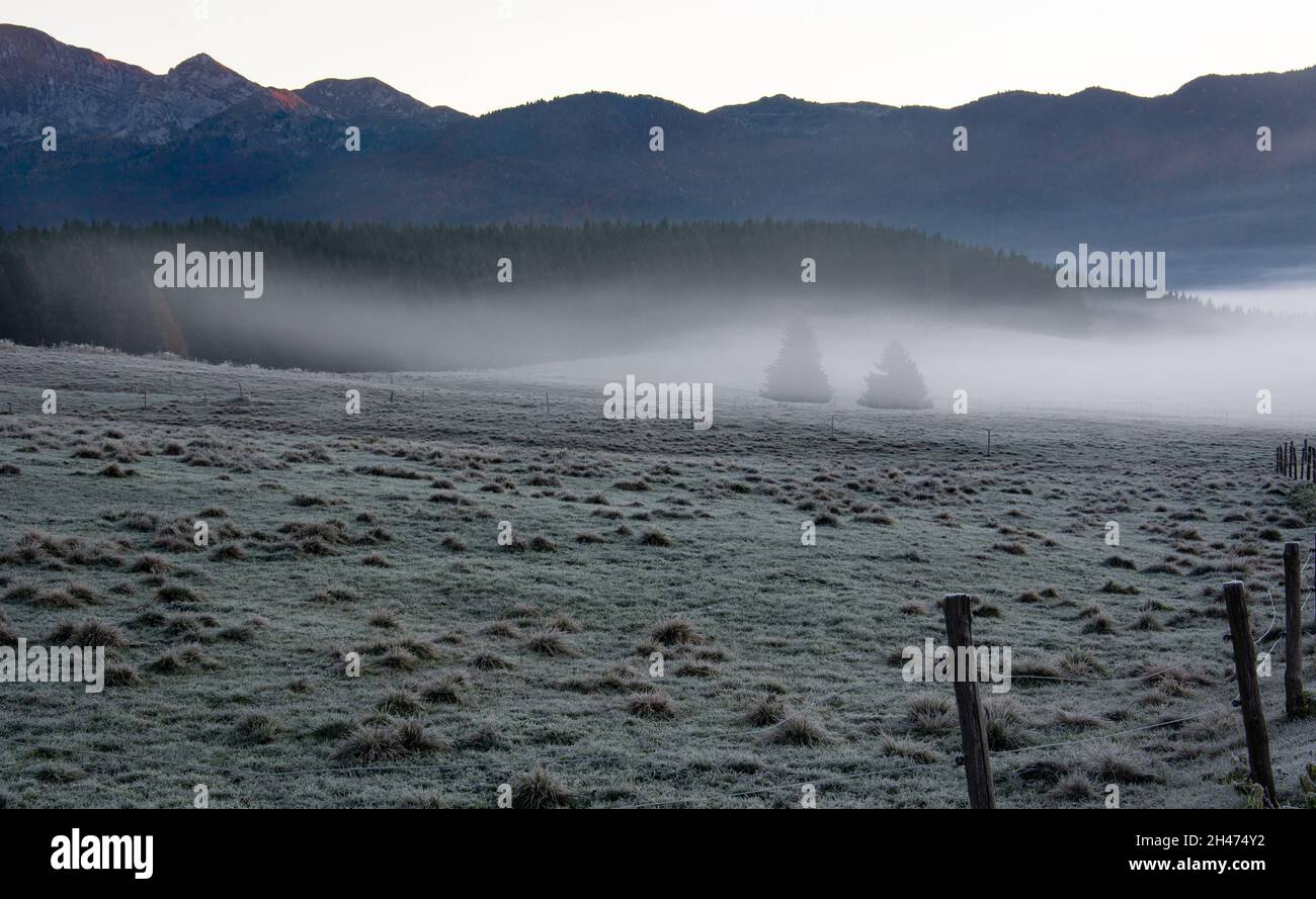 very cold and foggy on the high mountain plateau Stock Photo - Alamy