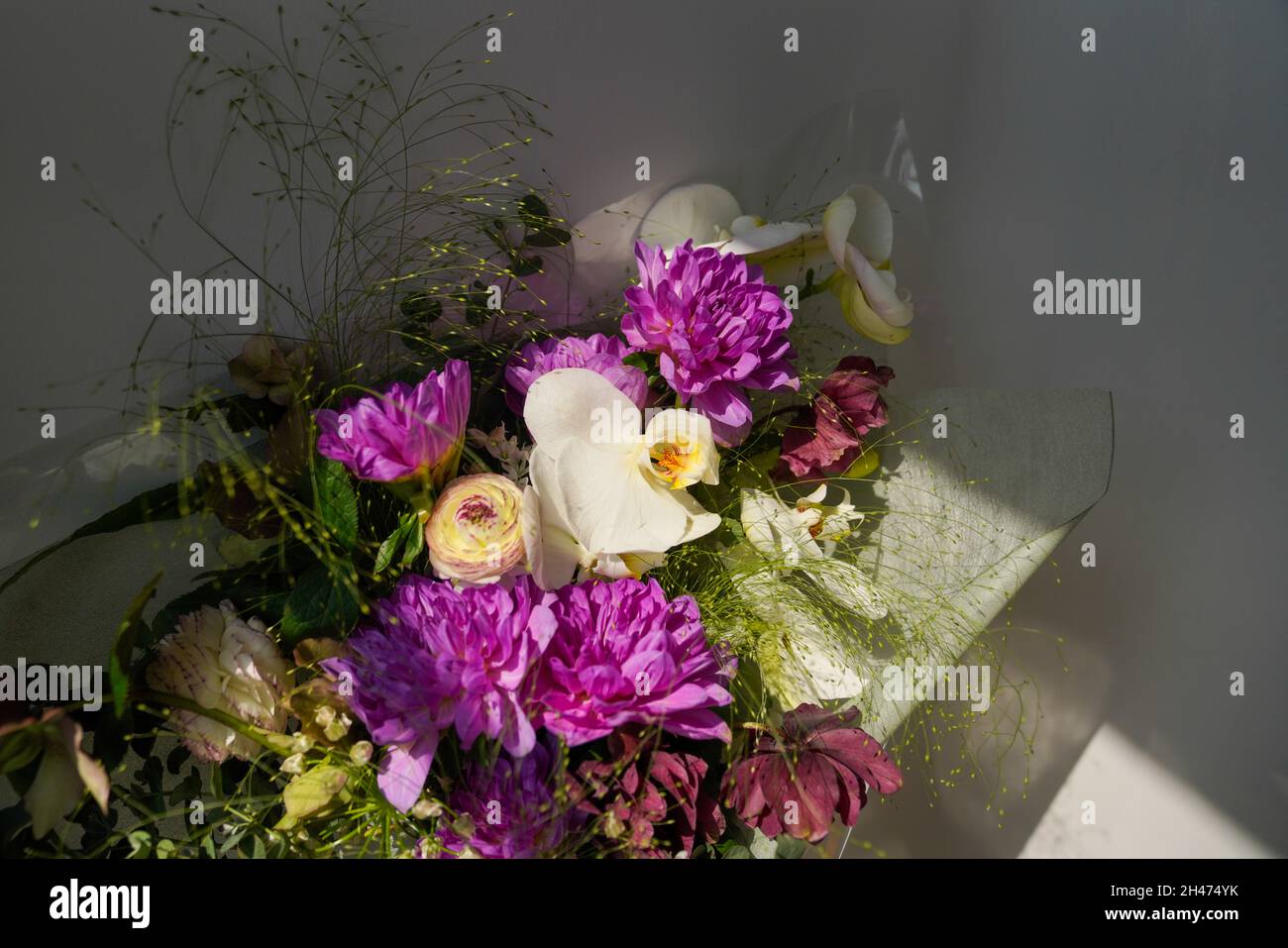 Creative layout of flowers and leaves. The concept of nature. A card ...