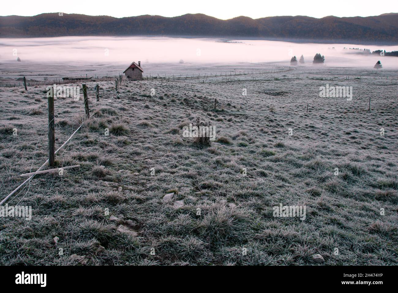 very cold and foggy on the high mountain plateau Stock Photo - Alamy