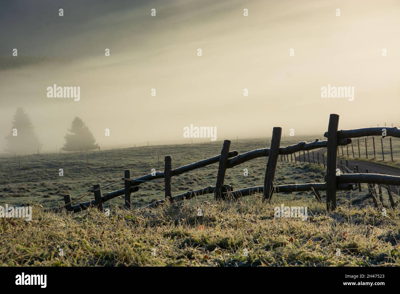 very cold and foggy on the high mountain plateau Stock Photo - Alamy