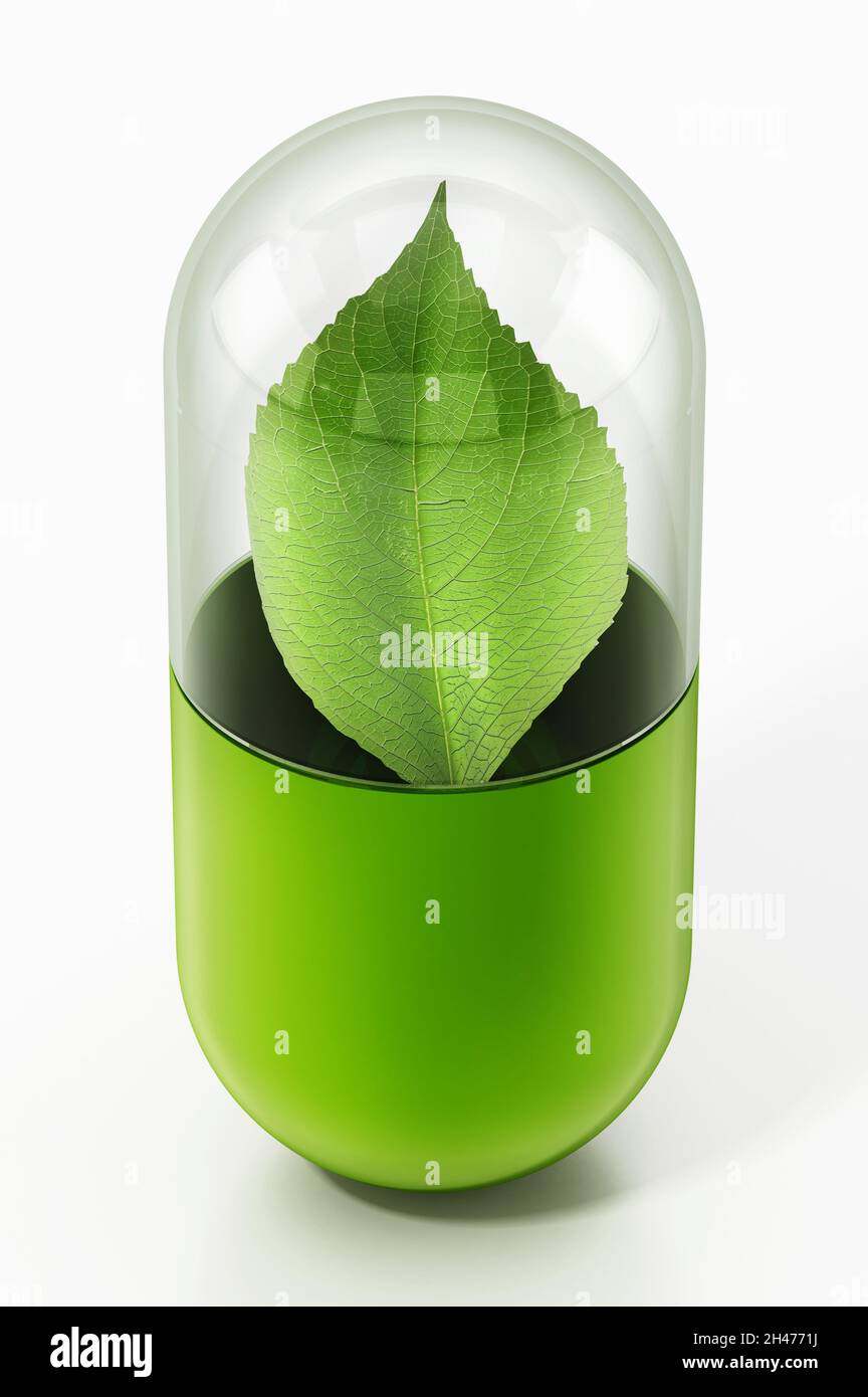 Green leaf inside the capsule pill. 3D illustration Stock Photo - Alamy