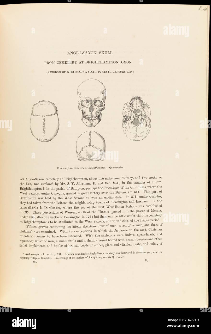 Four sketches, from different angles, of an Anglo-Saxon skull, from ...