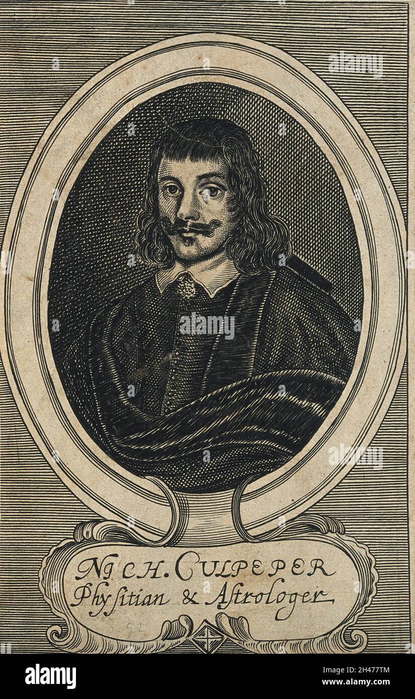 Medicine plants engraving hi-res stock photography and images - Alamy