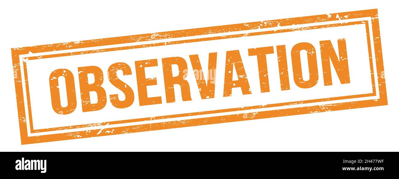 The Word Observation