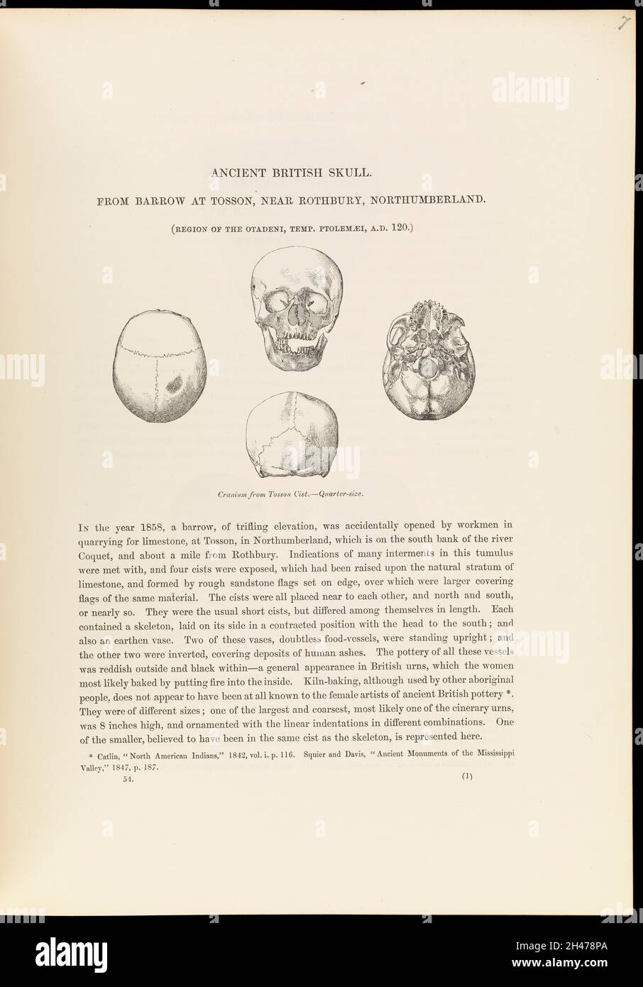 Four sketches of an ancient British skull Stock Photo - Alamy