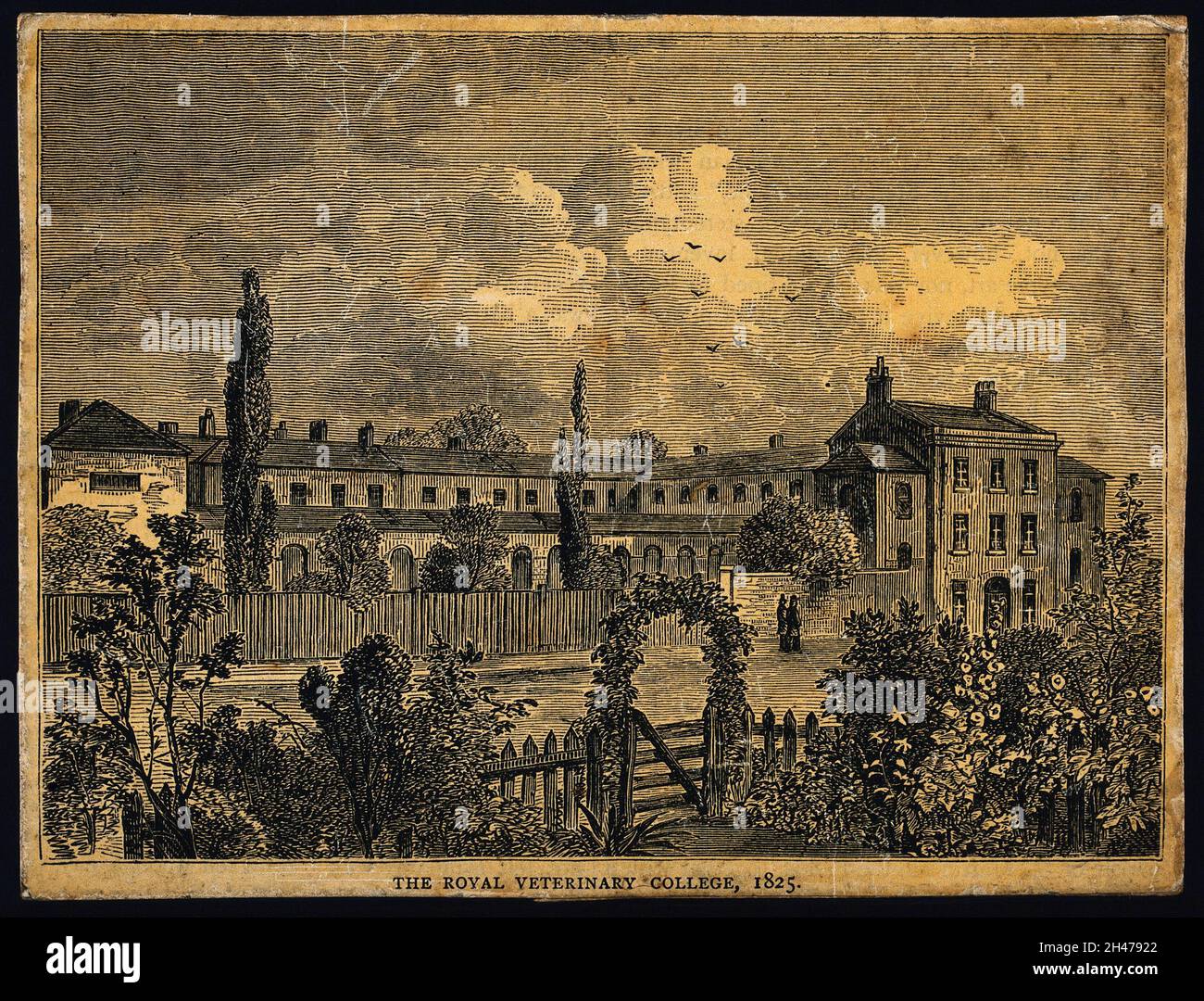 Royal veterinary college hi-res stock photography and images - Alamy