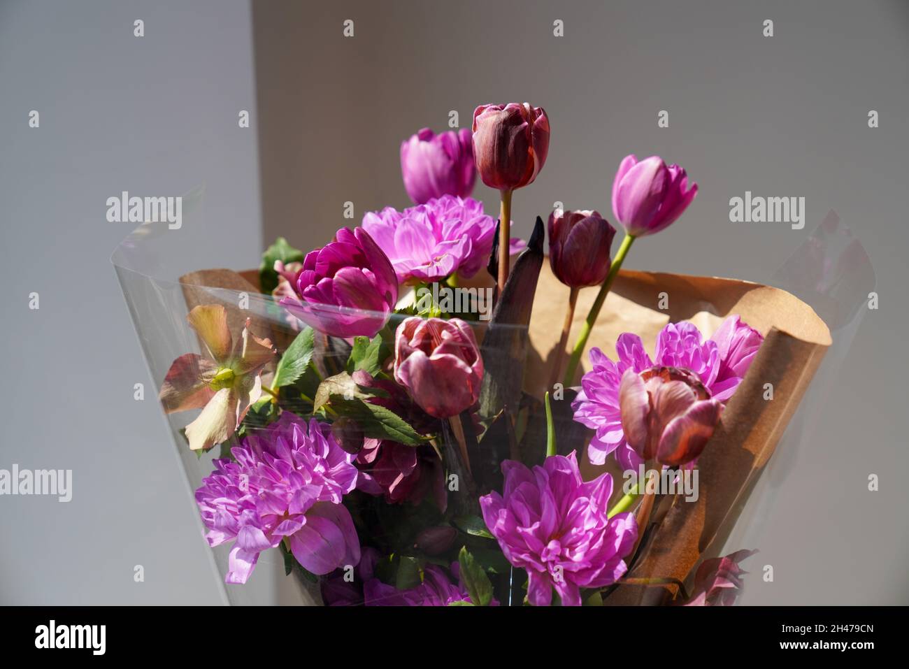 Creative layout of flowers and leaves. The concept of nature. A card ...