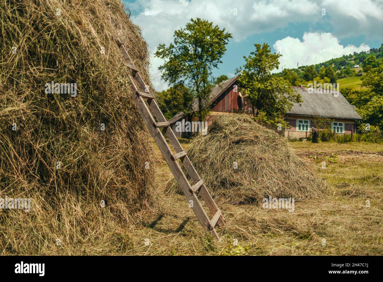 Village. Haystack with a wooden ladder Stock Photo - Alamy