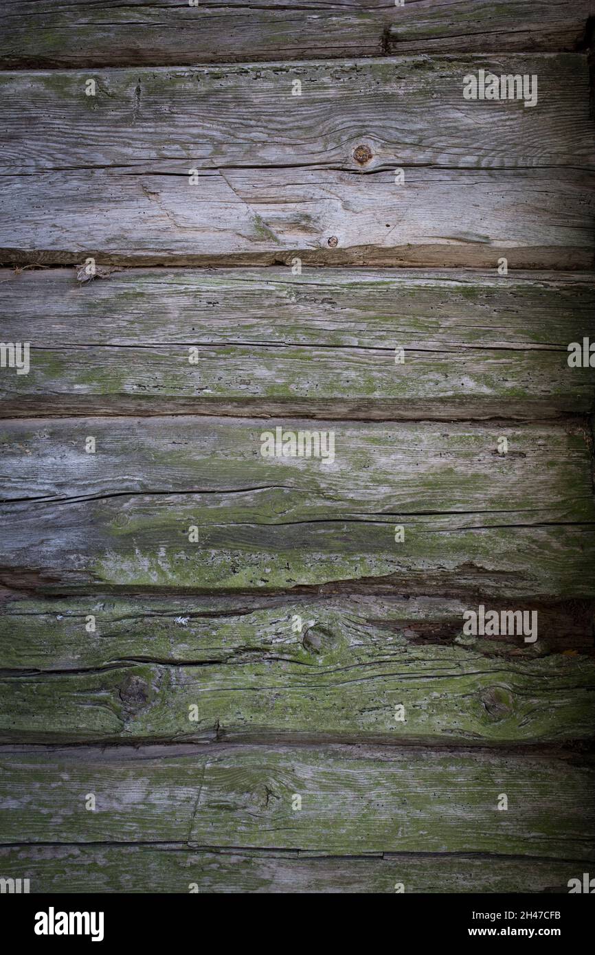 Wooden logs of an old house. Close-up. Weathered natural gray wood ...
