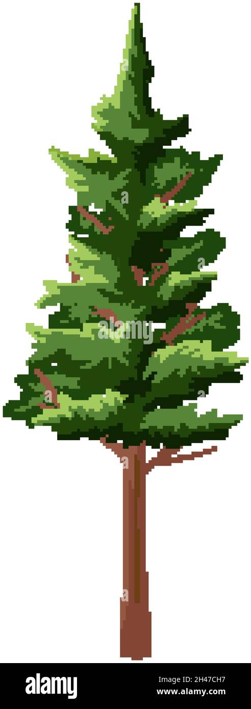 Single rainforest tree isolated on white background illustration Stock ...