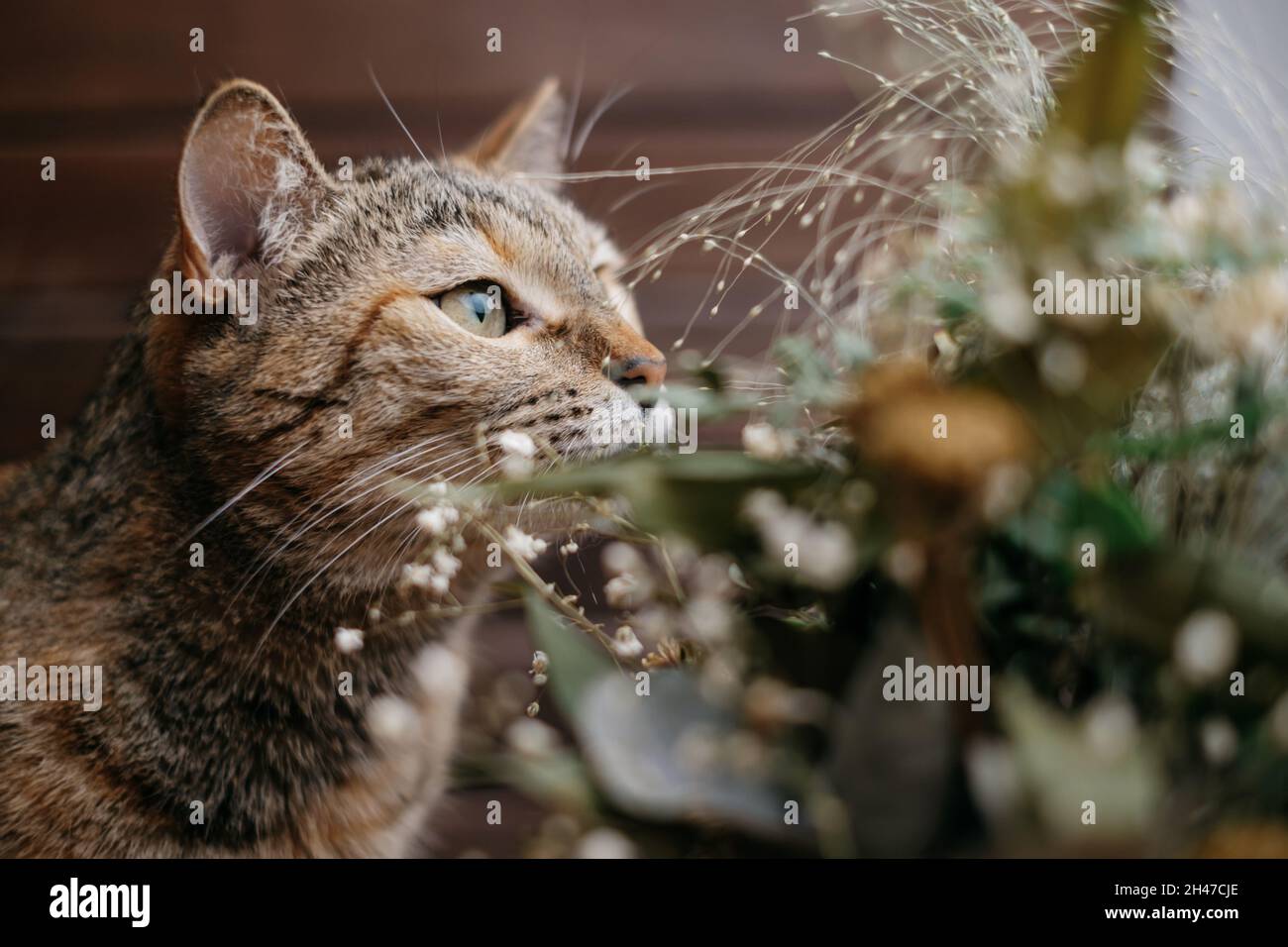 Sniff smell hi-res stock photography and images - Alamy