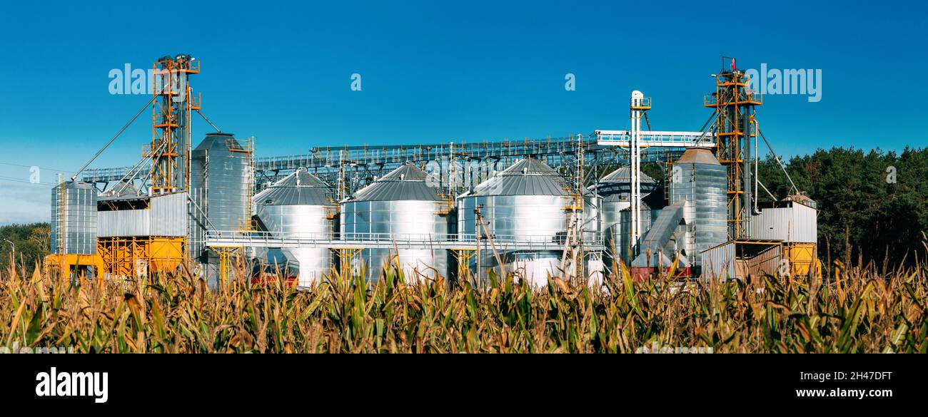 Modern Granary, Grain-drying Complex, Commercial Grain Or Seed Silos In ...