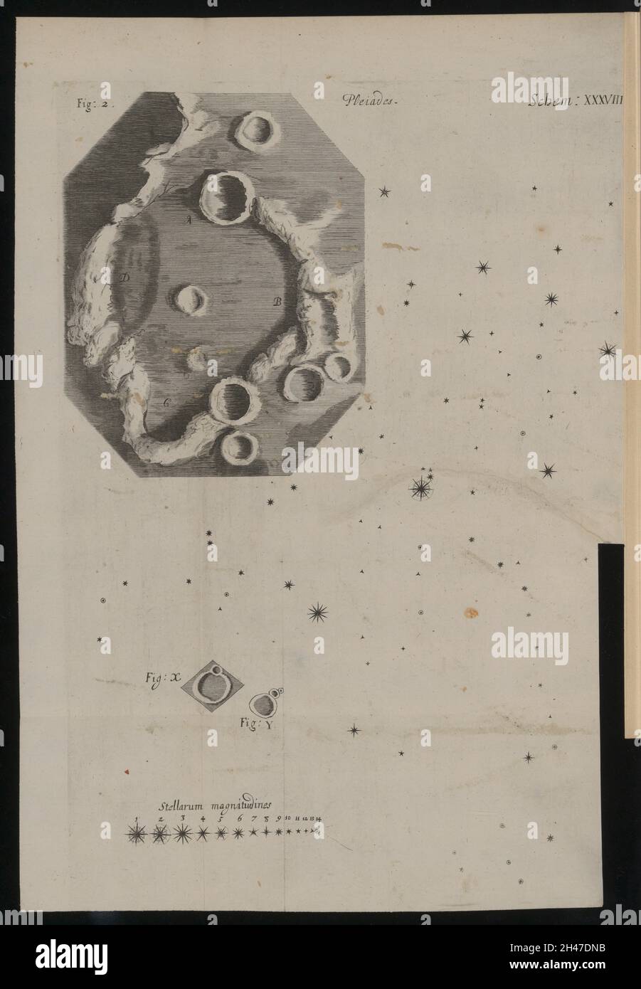 Engraving from Micrographia, 1665, by Robert Hooke Stock Photo - Alamy