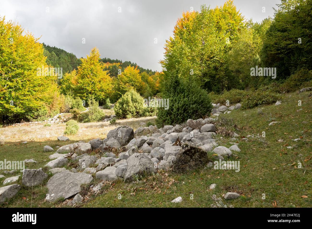 Fall season in Albania. Colorful autumn forest landscape Stock Photo ...