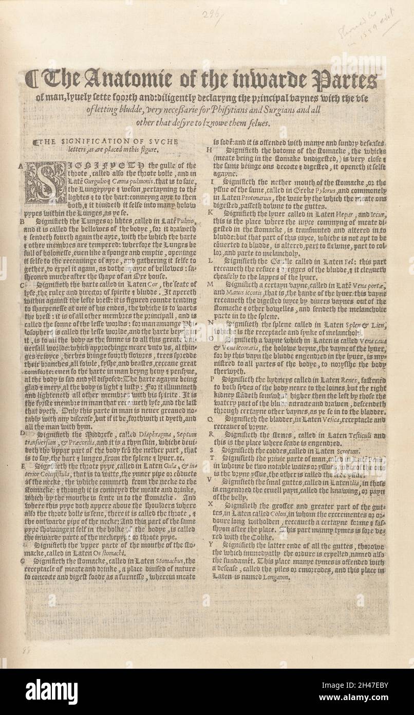 Anatomical functions hi-res stock photography and images - Alamy