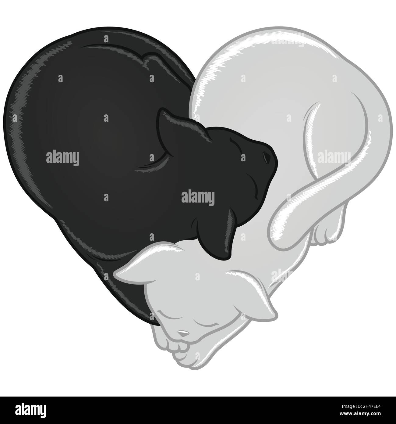 Heart shaped cats vector design, heart shaped pet Stock Vector Image ...