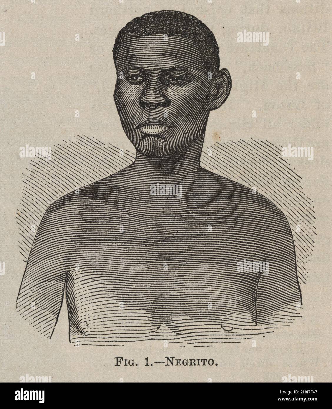 "Fig. 1 - Negrito" The phrenological journal, 1870 Stock Photo - Alamy