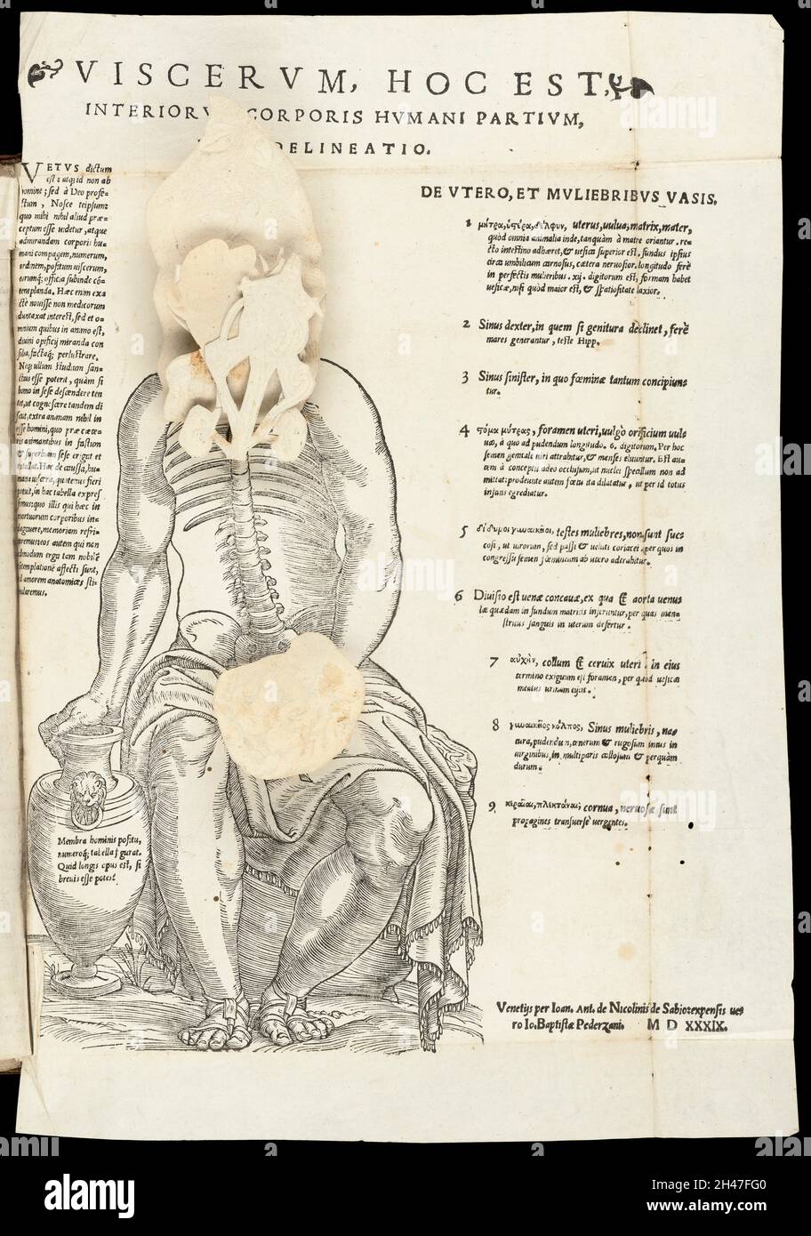 Anatomical fugitive sheets Stock Photo - Alamy