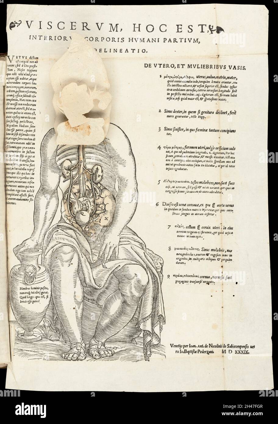 Detailed anatomical structures hi-res stock photography and images - Alamy