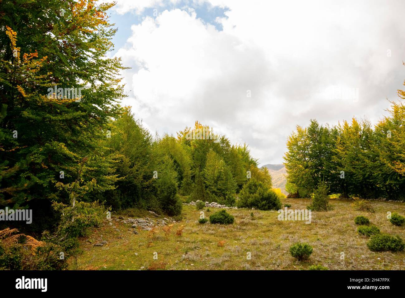 Albania in fall hi-res stock photography and images - Alamy