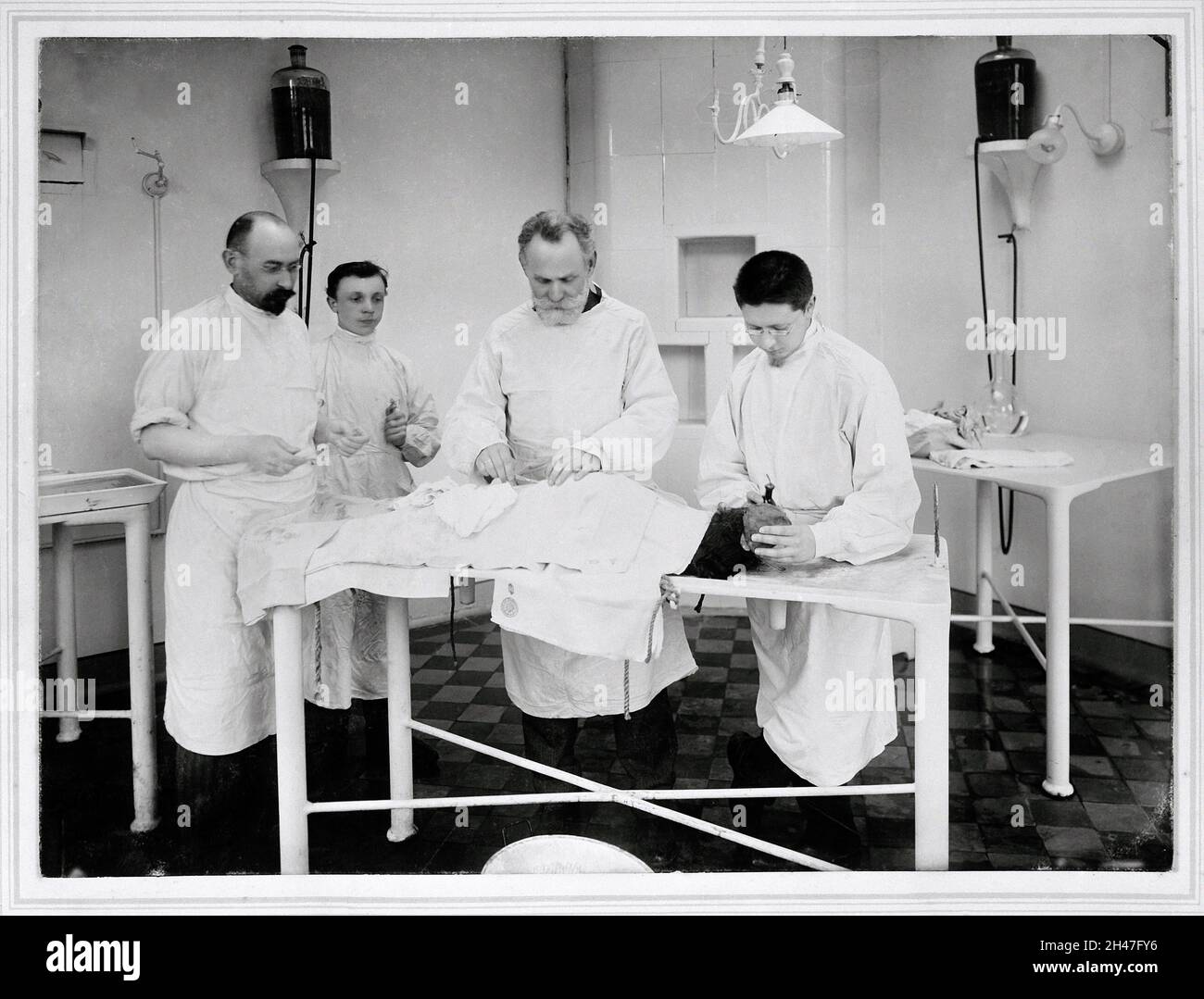 I.P. Pavlov with three colleagues operating on a dog in the Physiology ...