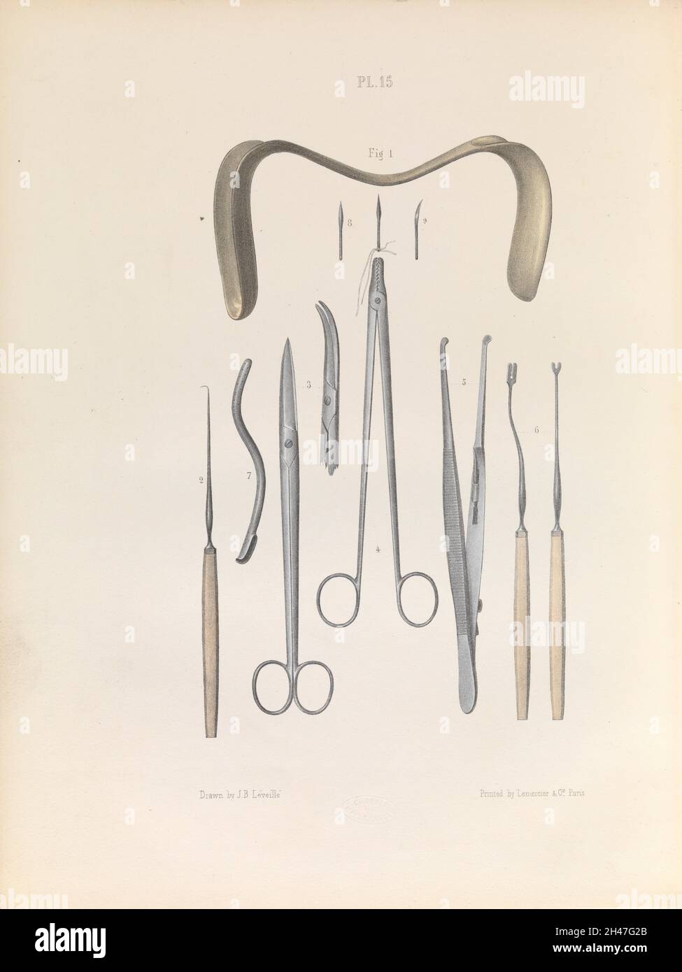 Plate 15. Surgical instruments (vesciovaginal fistula Stock Photo - Alamy