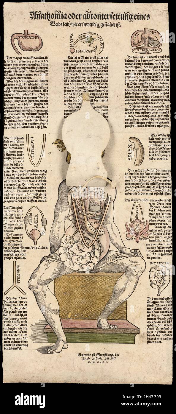Anatomical fugitive sheets Stock Photo - Alamy