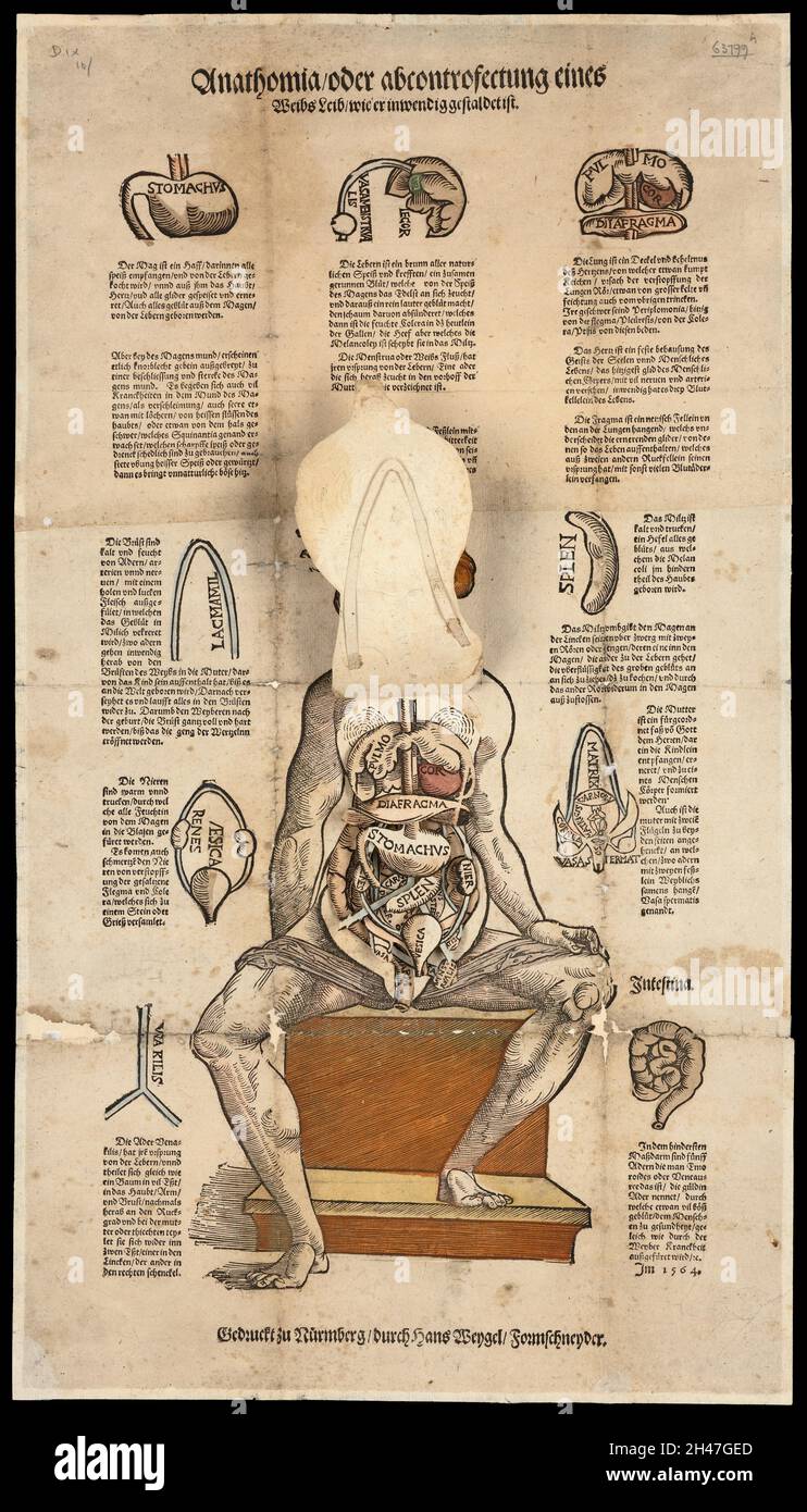 Anatomical fugitive sheets Stock Photo - Alamy