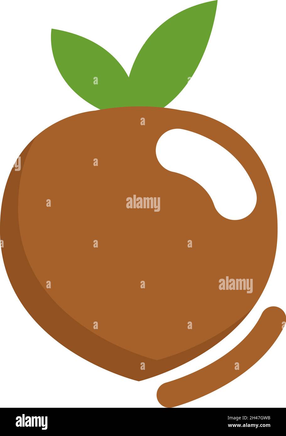 Small coconut, illustration, vector, on a white background Stock Vector ...