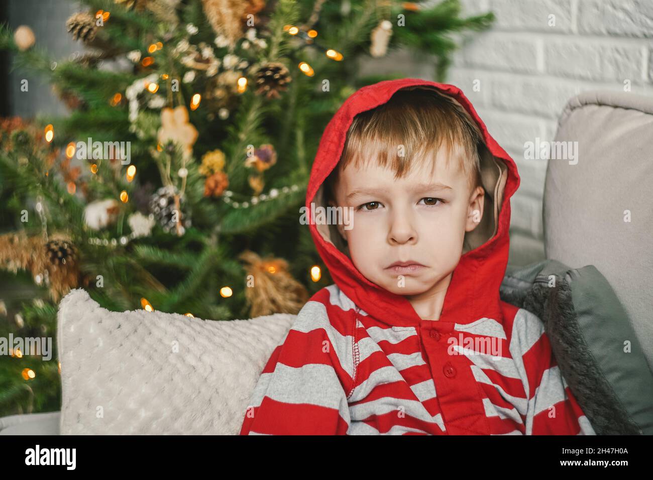 Sad little boy and Christmas tree, natural decor with dry flowers ...