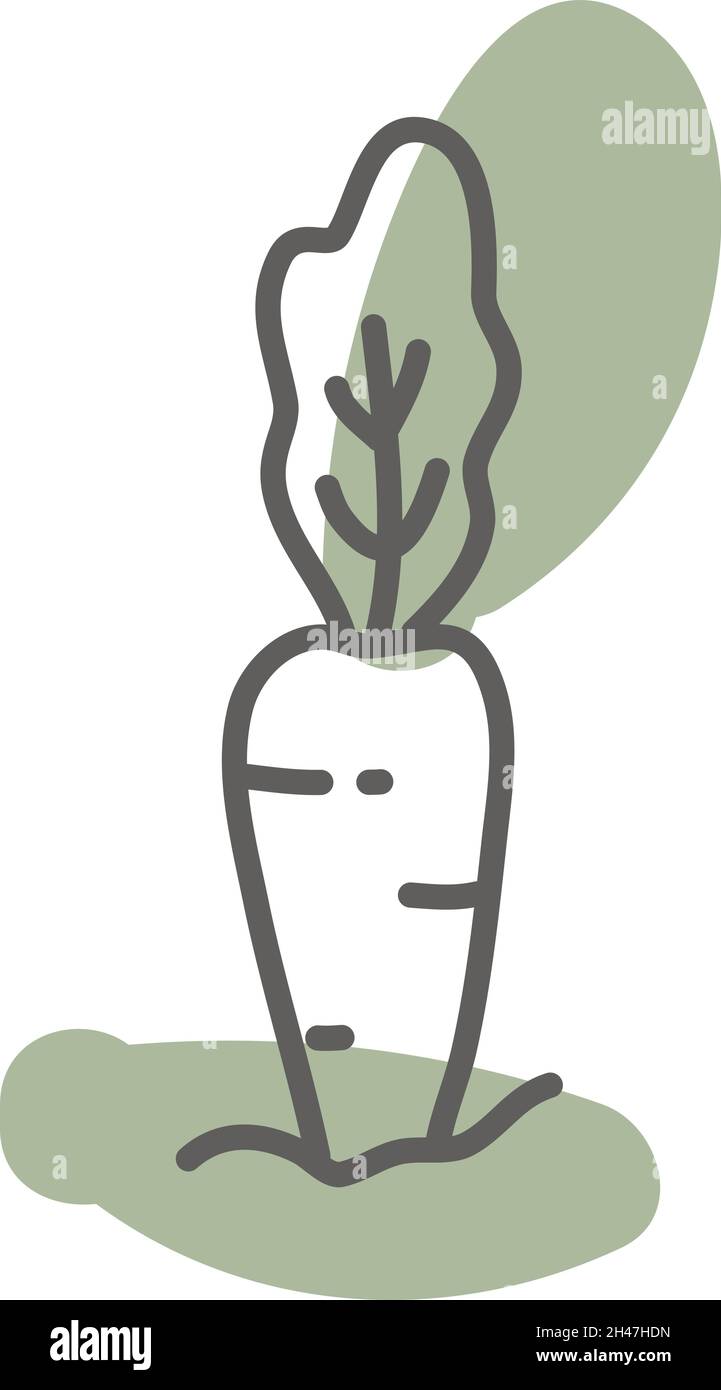 Farm carrot, illustration, vector, on a white background Stock Vector ...