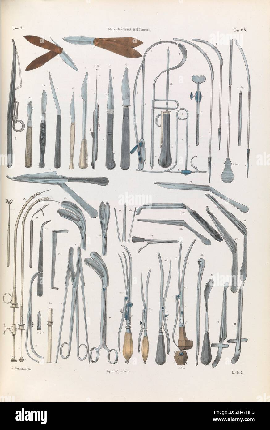 Lithotomy hi-res stock photography and images - Alamy
