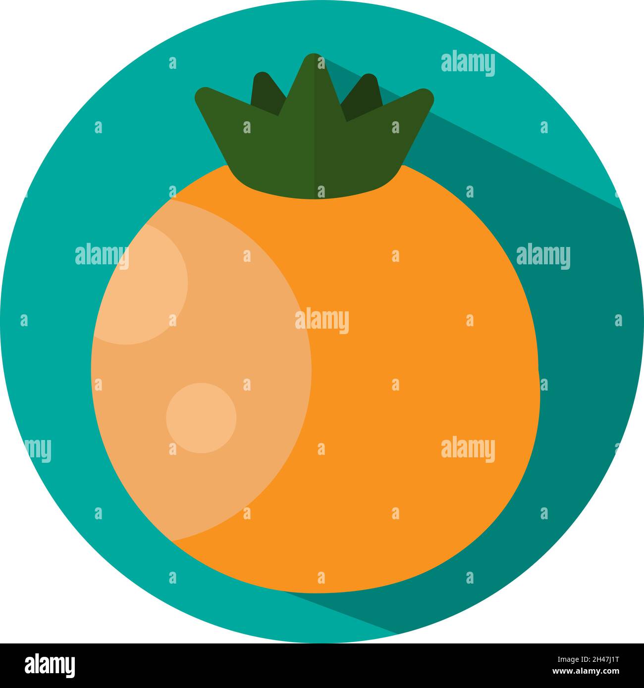 Kaki apple, illustration, vector, on a white background Stock Vector ...