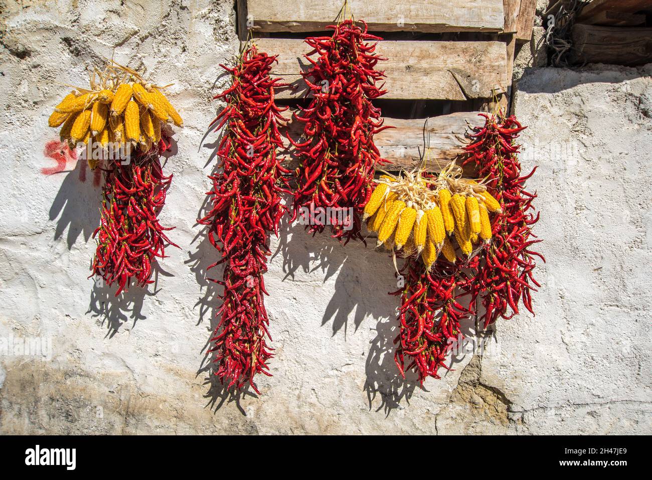 Drying bell peppers hi-res stock photography and images - Alamy