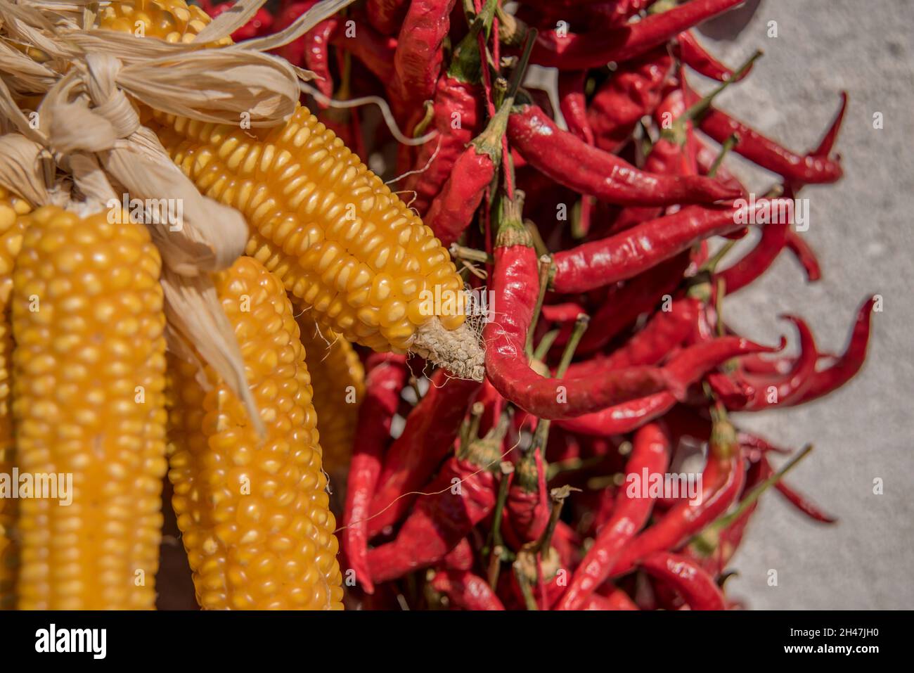 Bell pepper drying hi-res stock photography and images - Alamy