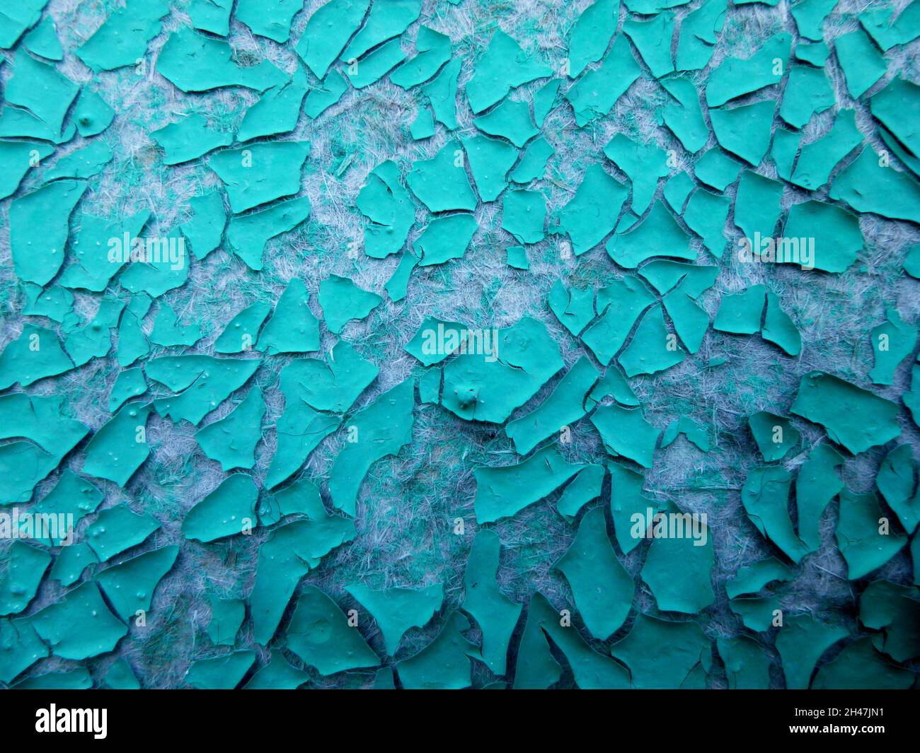 Blue peeling paint on the wall. Weathered rough painted surface with ...