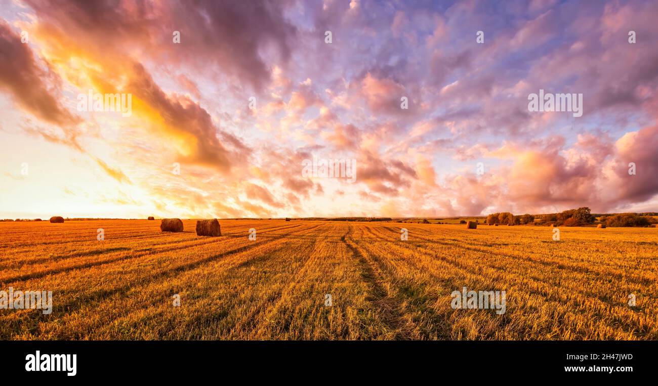 Sunset on the field with haystacks in Autumn season. Rural landscape ...