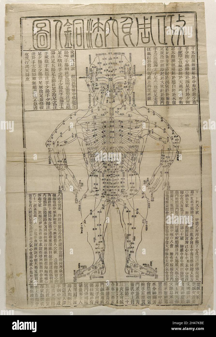 Frontal view of human body, showing a circulatory system and nodes for ...